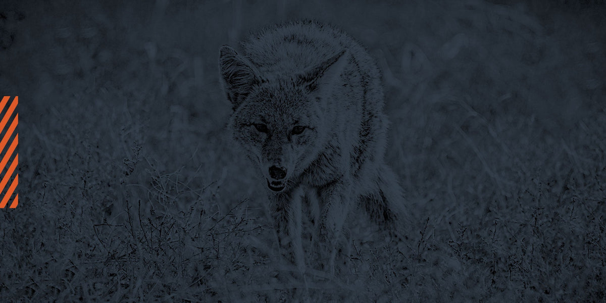 Predator Hunting Tools | Fix It Sticks